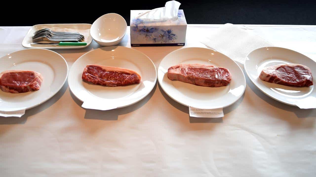 High Steaks: Lab-Grown Meat Could Be Better For Us, Says Expert - Free ...