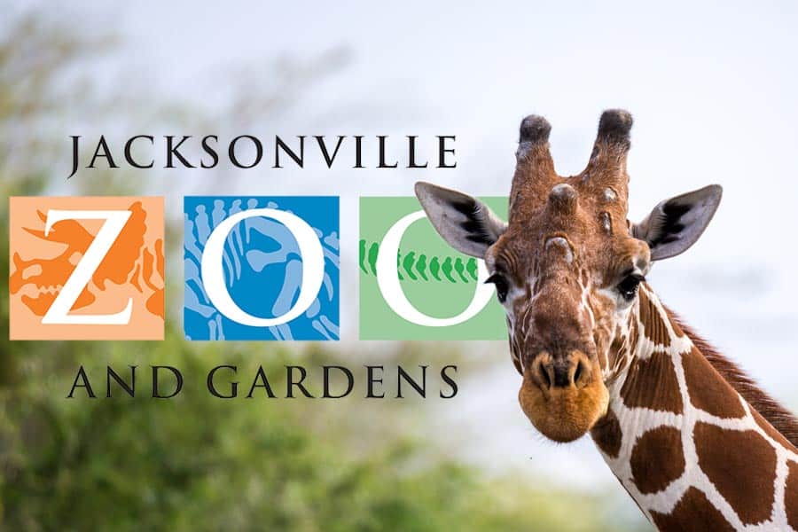 Jacksonville Zoo and Gardens Launches the Conservation Leaders ...